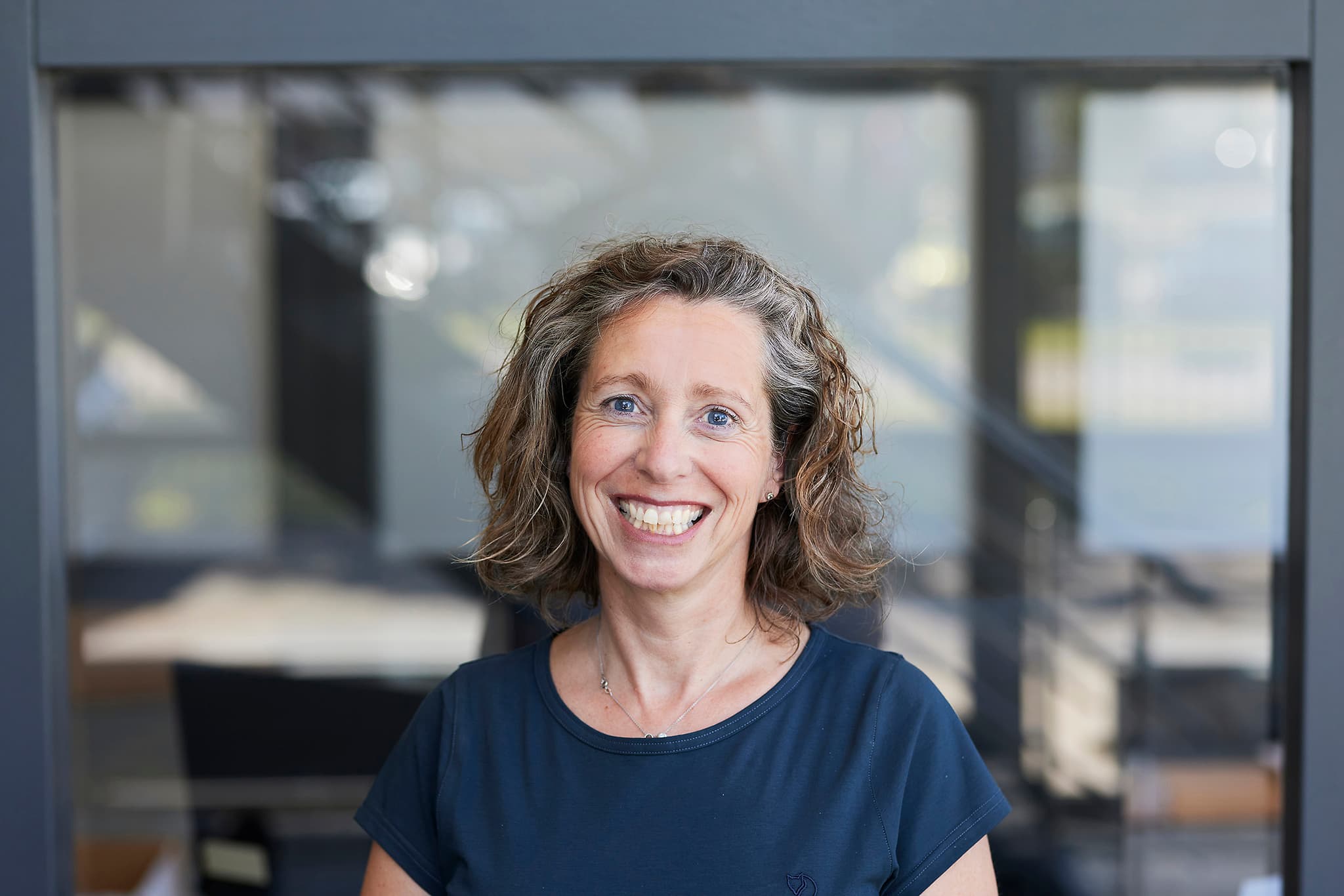 Batterijopslag en thuisaccu's - Lees meer over de oplossingen van Alius